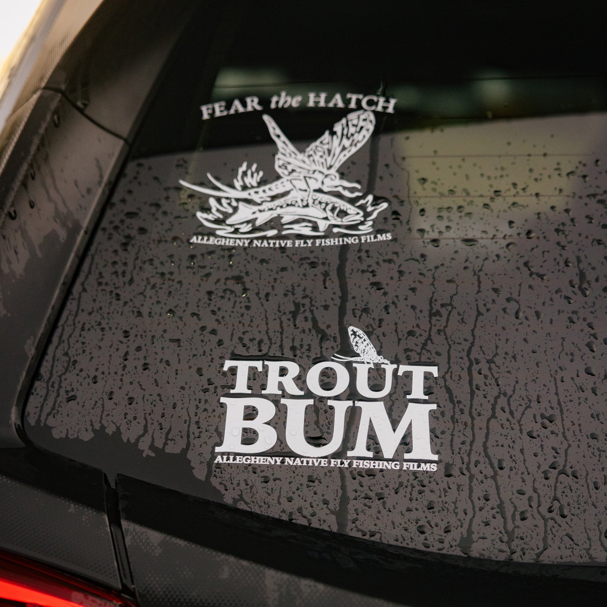 Trout Bum Decal – Allegheny Native Films